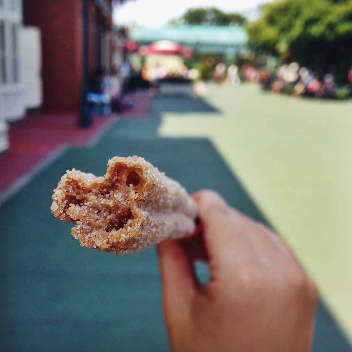 Review: Tokyo Disneyland - Eagle Eye