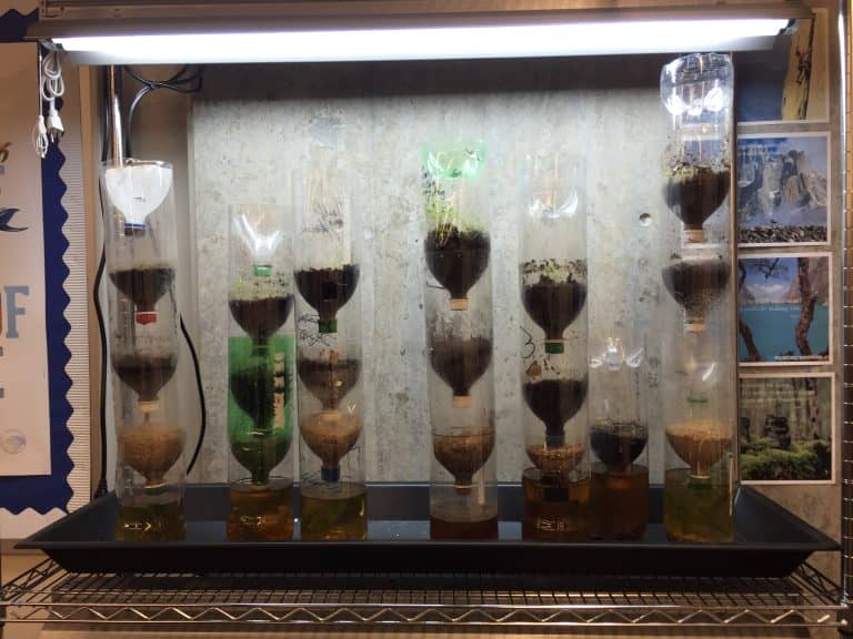 AP Environmental Builds Eco-Columns – Eagle Eye