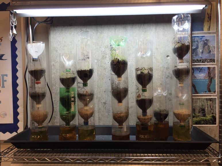 AP Environmental Builds Eco-Columns – Eagle Eye