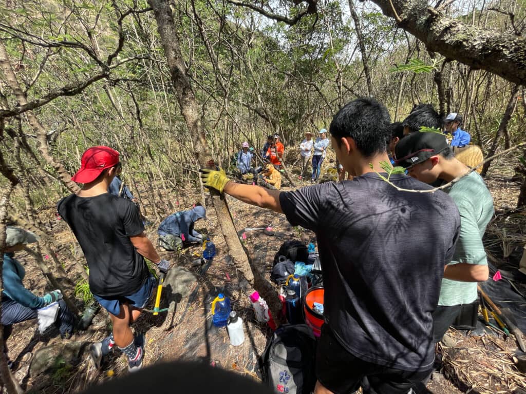 Restoring Pia Valley, One Plant At A Time - Eagle Eye